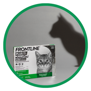 FRONTLINE PLUS สำหรับแมว | สินค้าของเรา