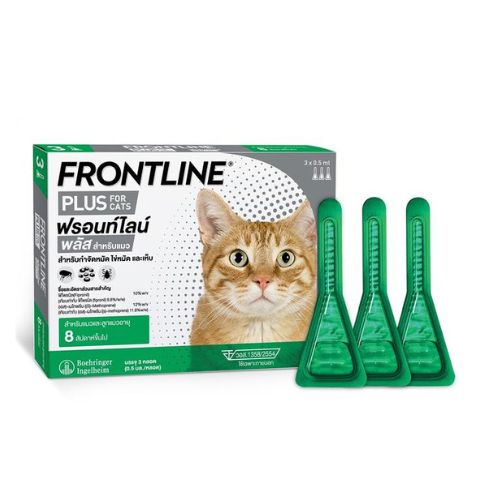 เทคนิคการดูแลแมว| FRONTLINE
